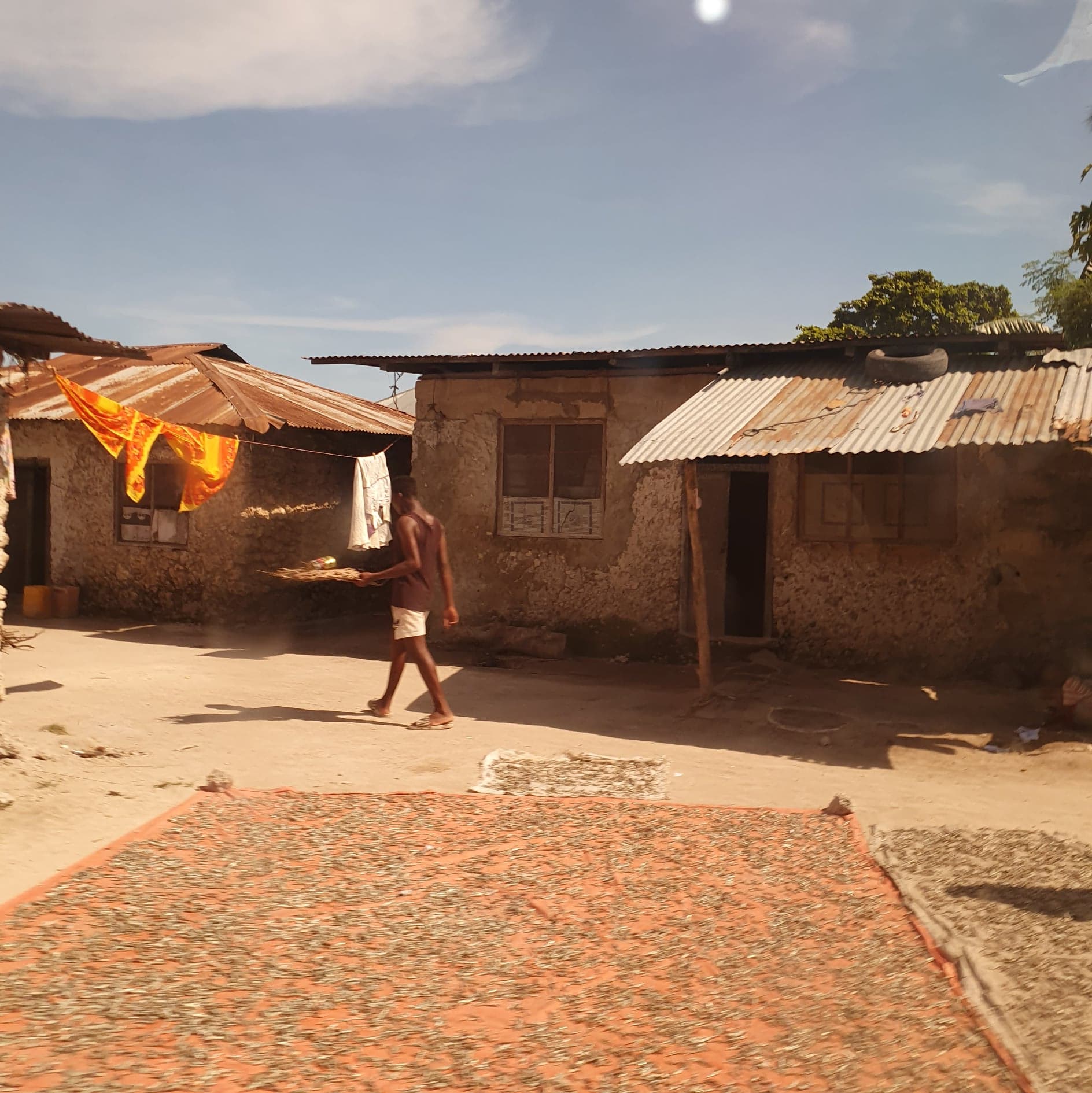 Dtree – Digital Global Health – Horizon Centre for Doctoral Training Blog